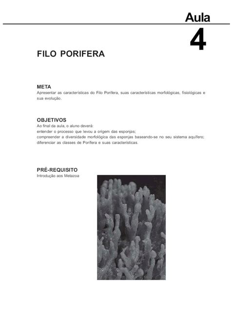 Pdf Biologia Dos Invertebrados Cesadufs Br Flageladas