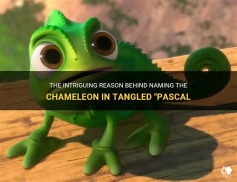 The Intriguing Reason Behind Naming The Chameleon In Tangled Pascal PetShun