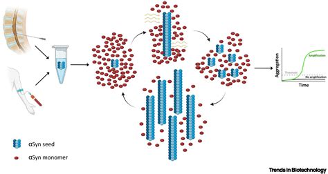 α Synuclein Seed Amplification Technology For Parkinsons Disease And