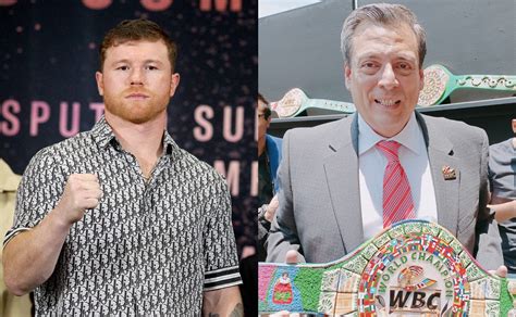 Canelo Álvarez salvó a Luis Miguel de la quiebra Su consejo le cambió