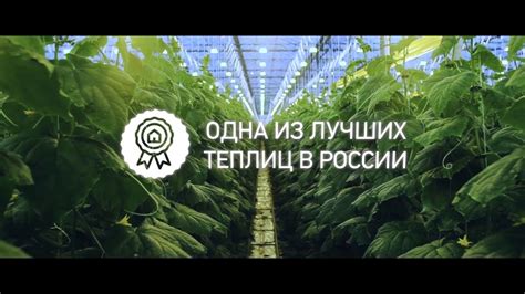 БОТАНИКА - YouTube