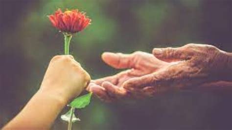 How To Increase Pleasure By Practicing Kindness Successyeti