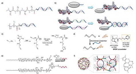 Dna Peptide Molecules Design Assembly Application