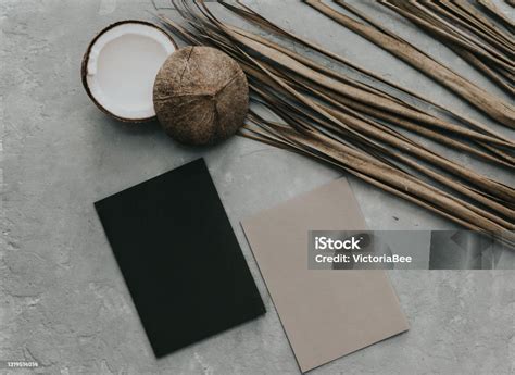 드라이 열대 야자수 잎 코코넛 및 빈 카드의 창조적 인 플랫 평지 상단 보기 최소한의 열대 야자 수 잎 식물 텍스트 또는 디자인에 대한 여름 개념 템플릿 엽서에 대한 스톡