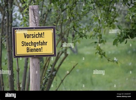 Beware Bees In Tree Hi Res Stock Photography And Images Alamy