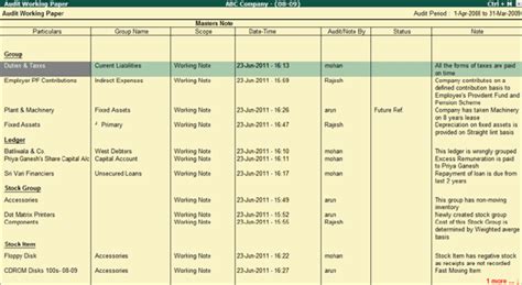 Audit Working Paper India