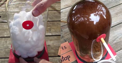 Smoking Experiment Shows What Is Inside Your Lungs After Just 30 Days