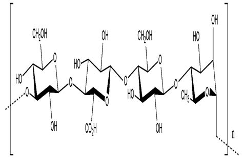 Bacterial Extracellular Polysaccharides Involved In Biofilm Formation
