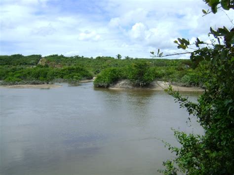 São Benedito do Rio Preto MA São Benedito do Rio Preto