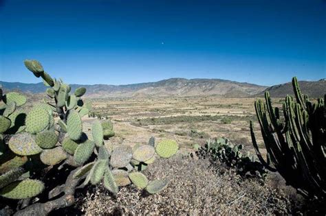 Cuevas de Yagul y Mitla años de ser Patrimonio de la Humanidad Diario Marca