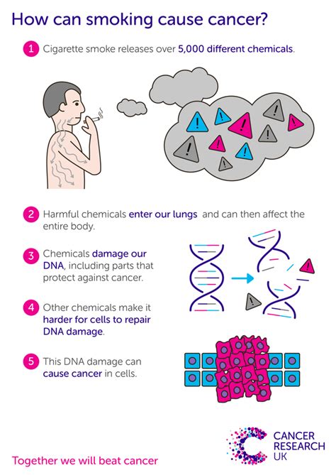 Does Tobacco Cause Cancer It Does Something More Than That