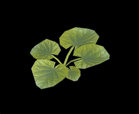 Grass Asset For Blender 3d Model 15 Blend Free3d