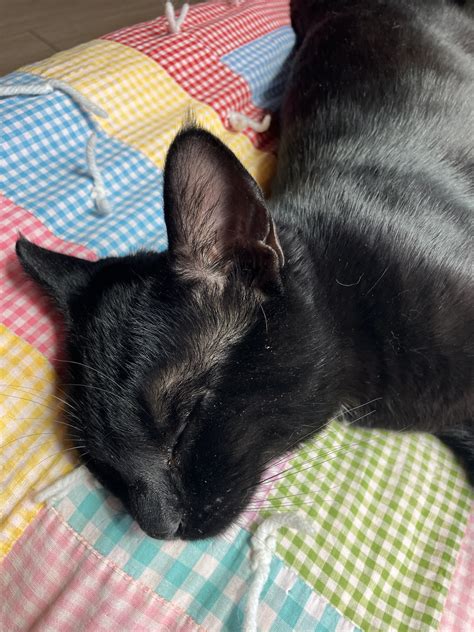 Sleeping Void Album On Imgur