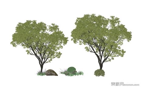 3d树su模型下载sketchup模型免费下载素模网