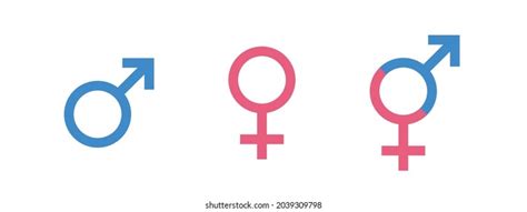 Gender Symbols Male Female Sex Sign Stock Vector Royalty Free