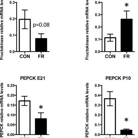 Primer Sequences And Qiagen Quantitect Primer Assays™ Download Table