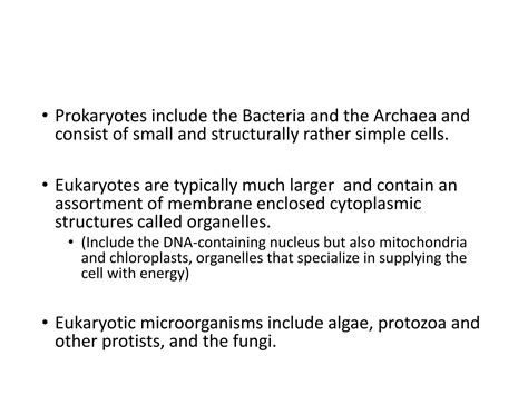 Structure Of Prokaryotes Pptx Pptx Genetics Science