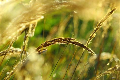 Cutecore Background Photos Download The Best Free Cutecore Background