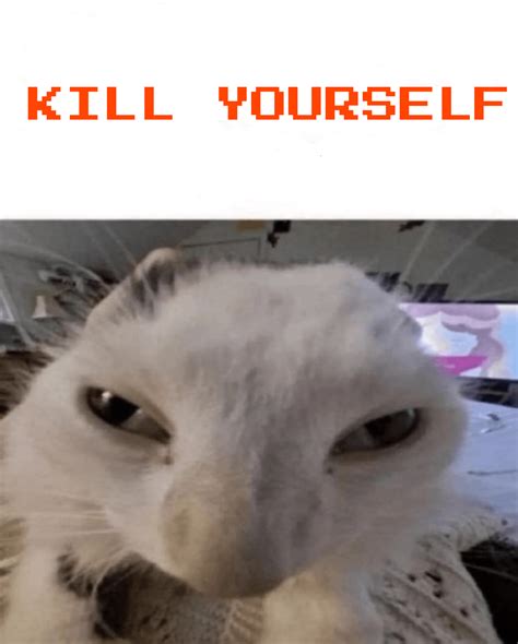 Now Rrule34skibiditoilet