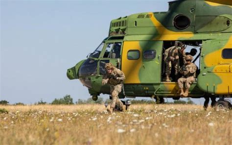 Militarii Din Celebra Divizie Aeropurtată 101 A Sua îşi Prezintă