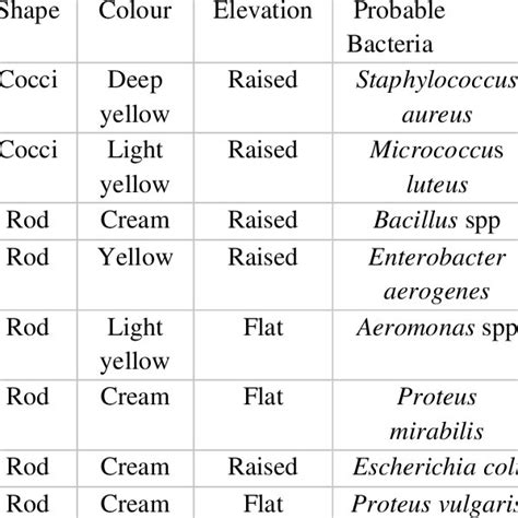 Morphological Characteristics Of Bacterial Isolates Download