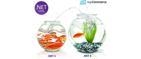 How To Migrate A Project From Aspnet Mvc To Aspnet Core Dev Community