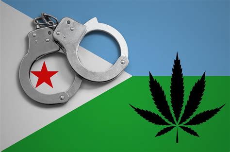 Cannabis En Yibuti Leyes Uso Y Demás Información Sensi Seeds