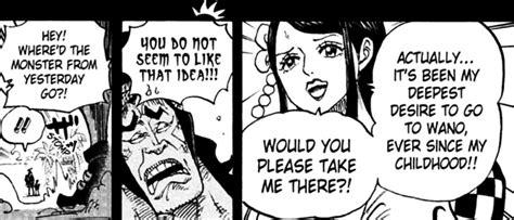 One Piece Secretly Introduced A Major Void Century Figure Theory