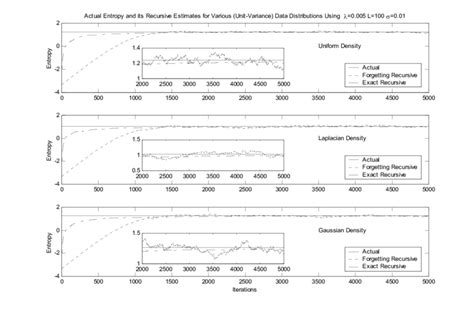 Actual Entropy And Its Exact And Forgetting Recursive Estimates For