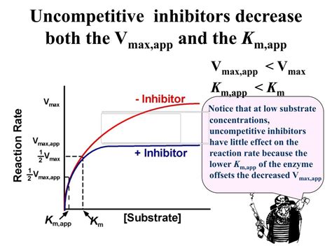 Ppt Enzyme Kinetics Inhibition Powerpoint Presentation Free