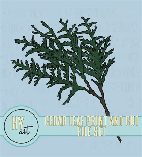 Cedar Leaf Print And Cut File Set Png Svg Pdf Ckmyw Etsy Cedar Leaf Print And Cut File Set Png Svg Pdf Ckmyw Etsy