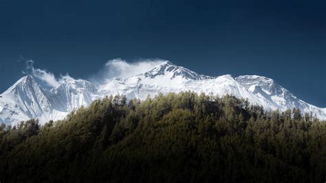 Nature Of Code Boyans Documentation Blog