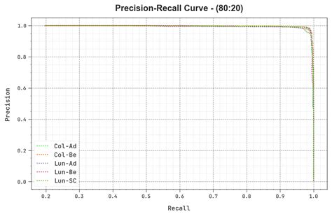 al biruni earth radius optimization with transfer learning based