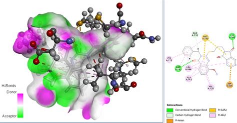 3d And 2d Binding Interactions Of Compound 20 In The Active Site Of The