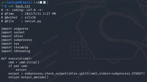 python渗透测试入门之取代netcat 知乎
