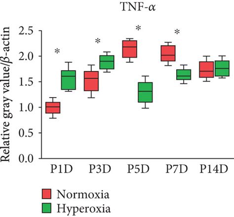Tight Junction Protein Expression Is Positively Correlated With That Of