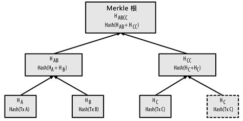 区块链系列（八）之区块链介绍区块链的区块根主要包含什么 Csdn博客