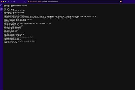 setup traefik proxy in docker swarm traefik