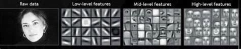 Getting Important Features Of A CNN Deep Learning Fast Ai Course Forums