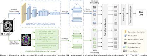 Figure 1 From Hybrid Representation Learning For Cognitive Diagnosis In