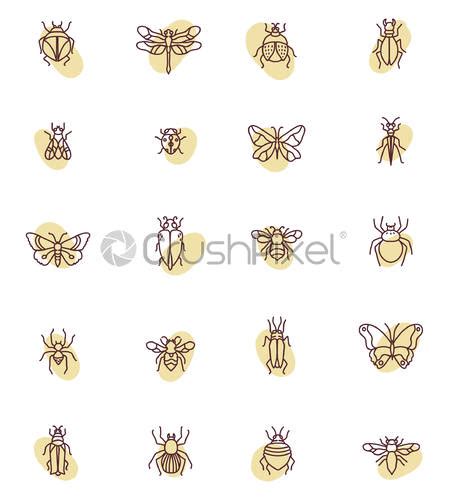Types Of Bugs Illustration Vector On A White Background Stock