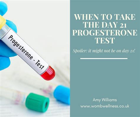 The Progesterone Test Is One Of The Key Basic Blood Tests Done By The