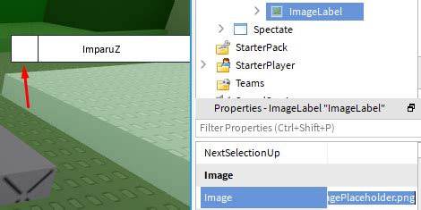 My Image On ImageLabel Won T Change Scripting Support Developer