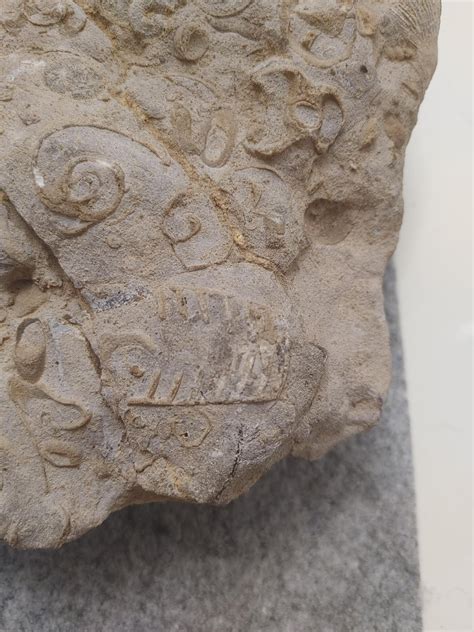 Found On Manitoulin Island In Ontario Canada Any Ideas Of It S Age