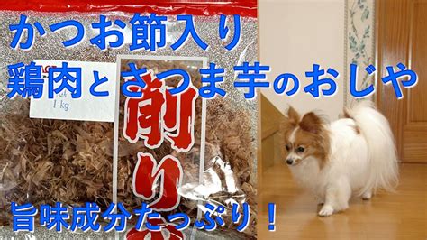 【17歳老犬の手作りごはん】かつお節とさつま芋のおじや（香りで食欲増進！） Youtube
