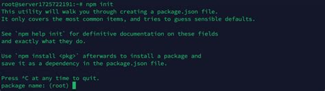 How To Set Up And Configure Packagejson For Nodejs Development