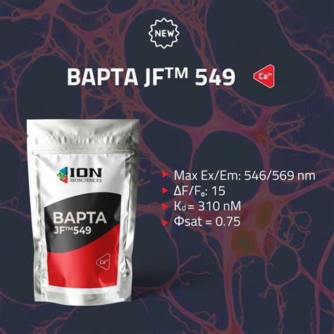 Calcium Indicator Neuroscience Cardiotoxicity Calciumimaging Derek Hernandez