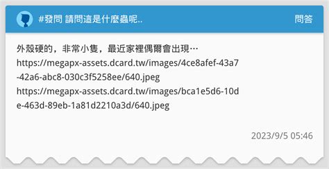 發問 請問這是什麼蟲呢 問答板 Dcard