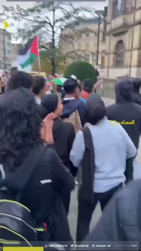 الحدث الإخبارية الكويت متظاهرون يتسلقون مبنى بلدية مدينة شيفيلد