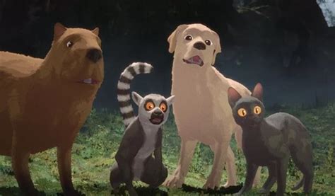 Flow With Gints Zilbalodis Hollywood Theatre